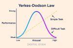 What is The Inverted-U Theory? | Digital Gyan