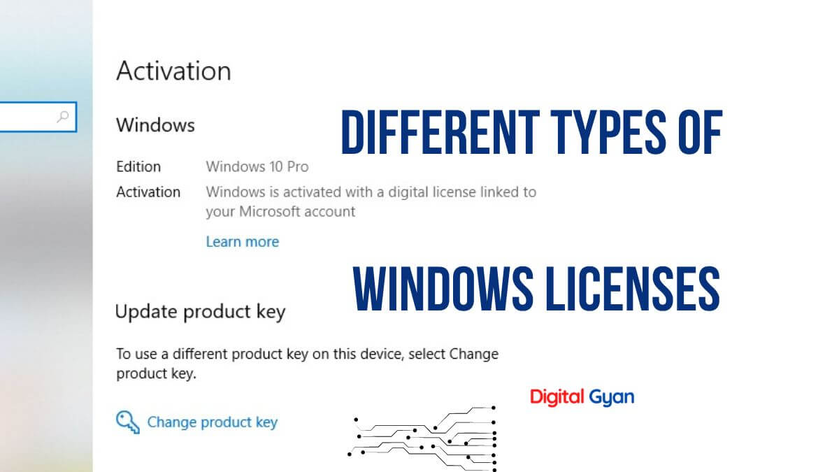 What are the different types of Windows licenses?